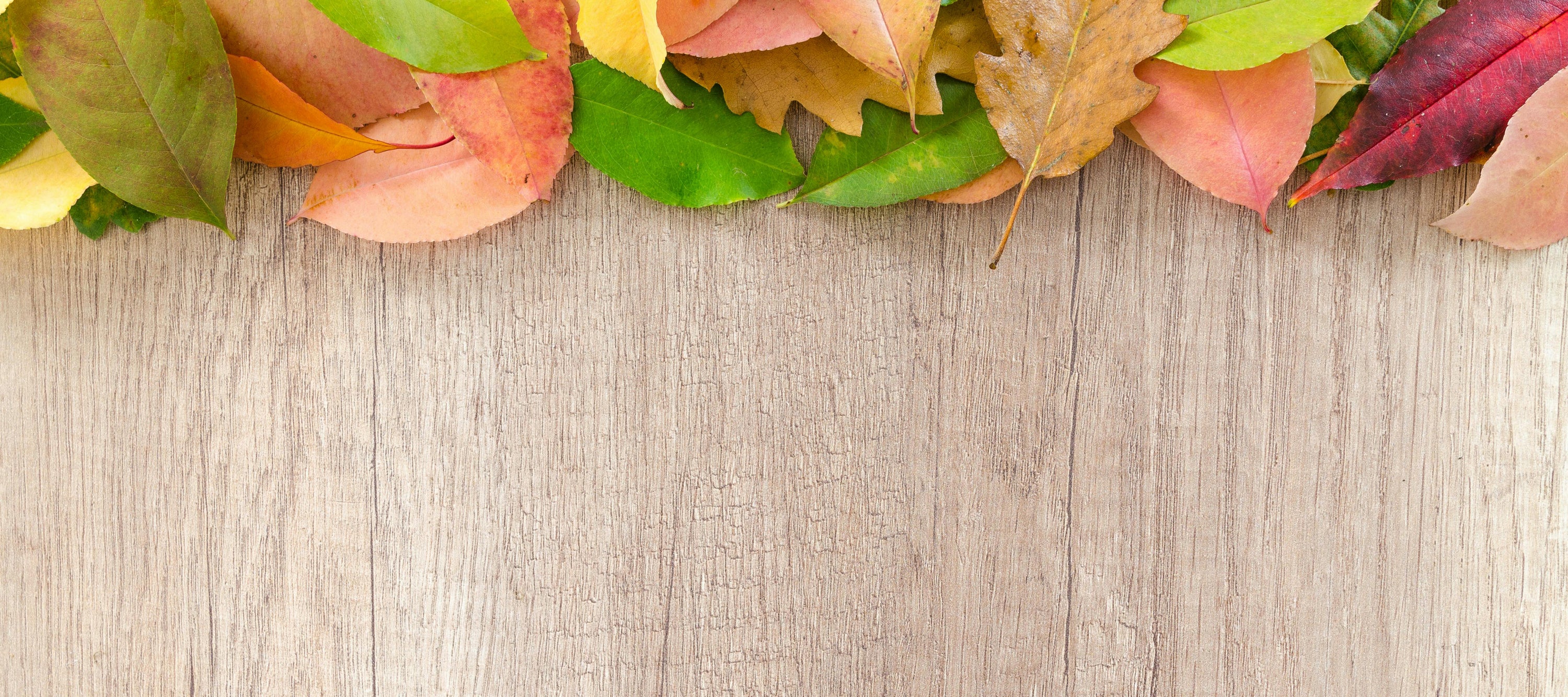 The Party Factory The UK's Leading Party Shop - Free Next Day Delivery